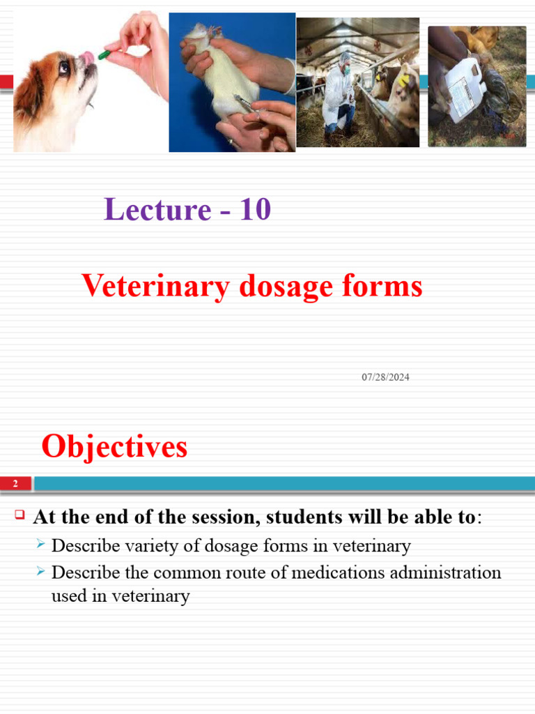 Veterinary Dosage Forms | PDF | Injection (Medicine) | Tablet (Pharmacy)