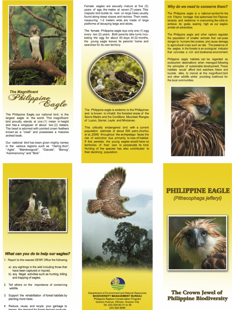 Pe2020 Brochure | PDF