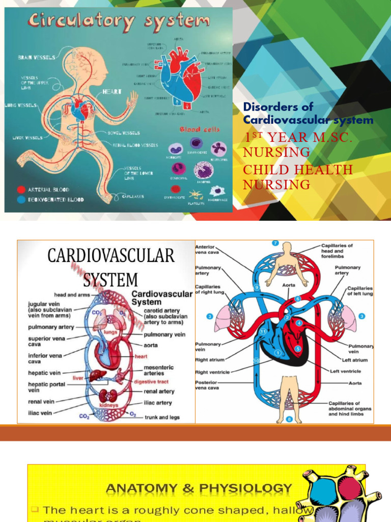 1 Year M.Sc. Nursing Child Health Nursing: Disorders of Cardiovascular ...