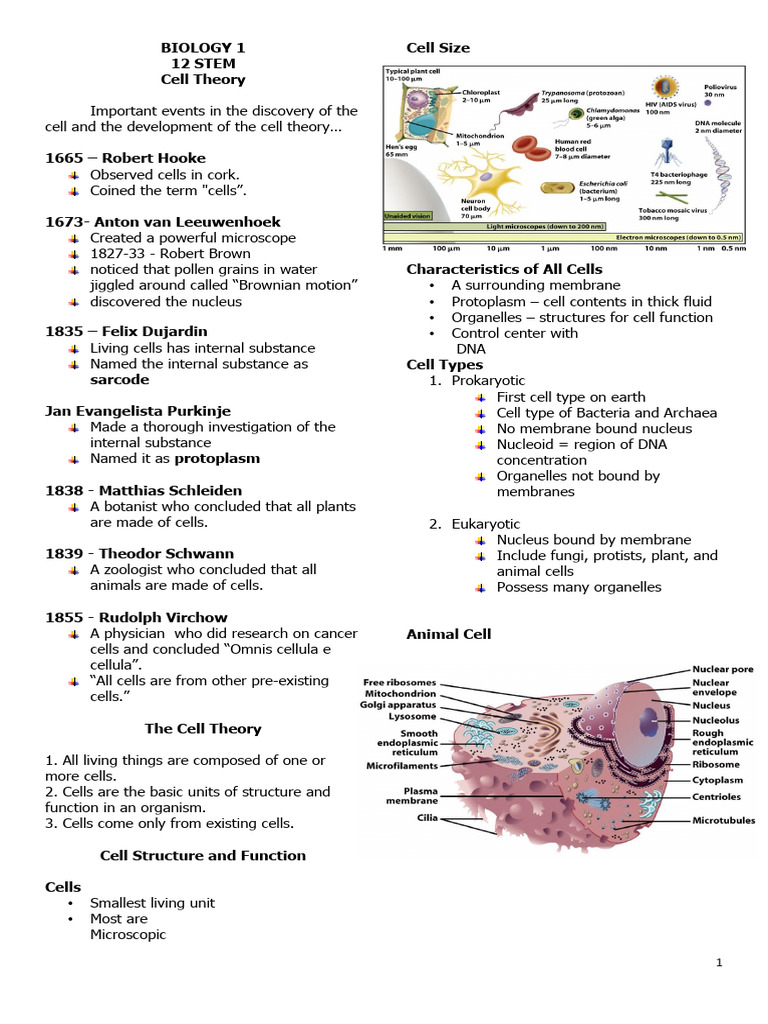 Biology Notes | PDF | Meiosis | Cell Membrane