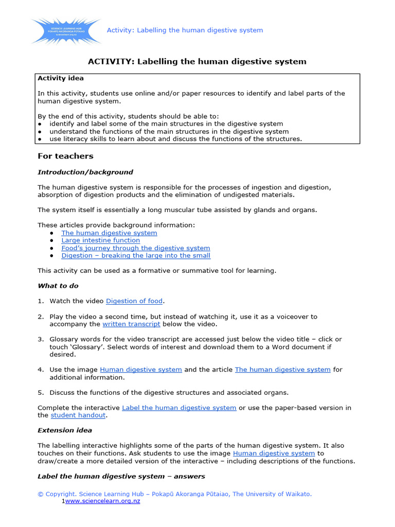 Labelling The Human Digestive System v1 | PDF | Human Digestive System ...