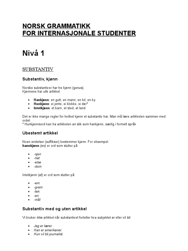 Norsk Grammatikk For Internasjonale Studenter (Nivå 1) | PDF
