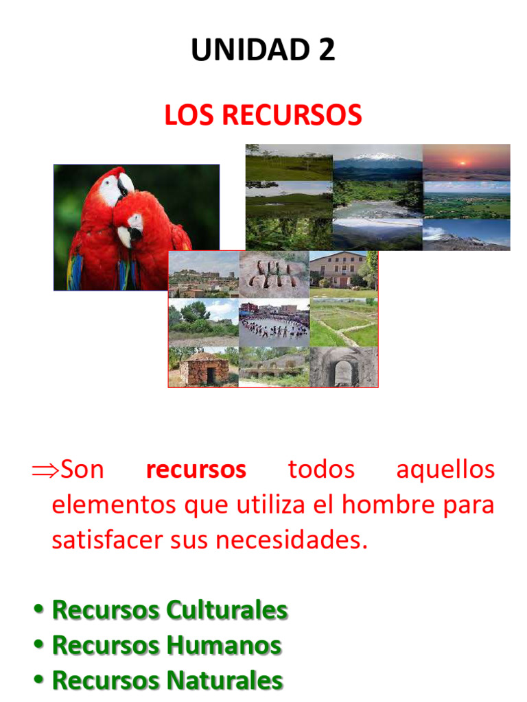 PowerPoint Recursos Naturales | PDF