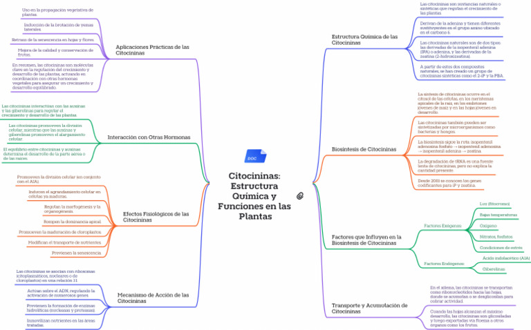 Citocininas: Clave en Crecimiento Vegetal | PDF | Hormona Vegetal | Auxina