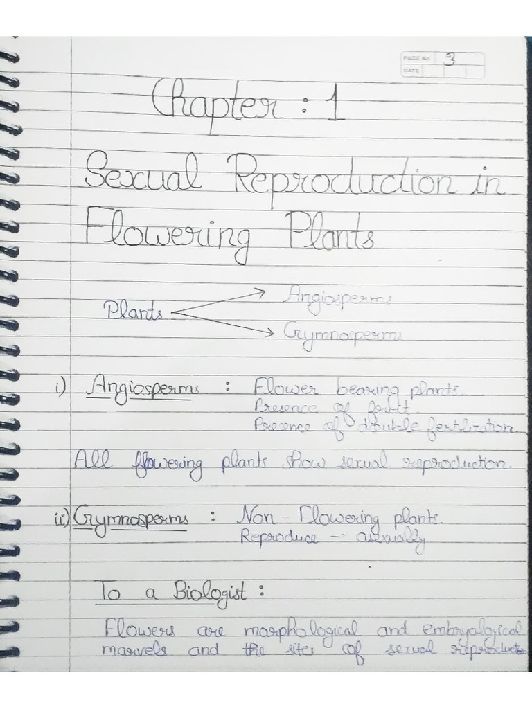 Bio Notes 12th Sexual Reproduction in Flowering Plants | PDF