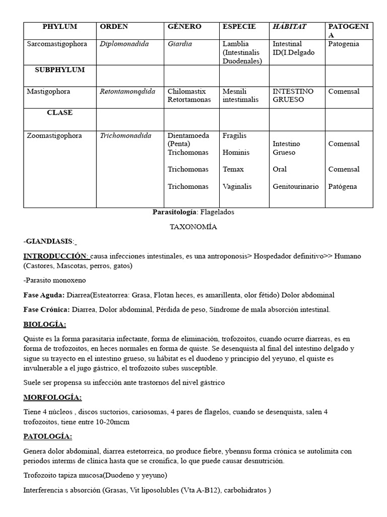 Parasitología, Clase Giandiasis | PDF | Diarrea | Especialidades Medicas