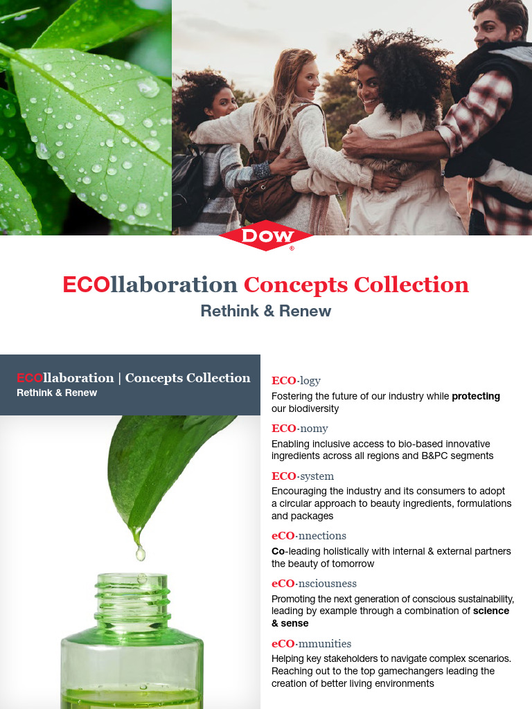 27 3331 01 Ecollaboration Concepts Collection Rethink and Renew | PDF ...