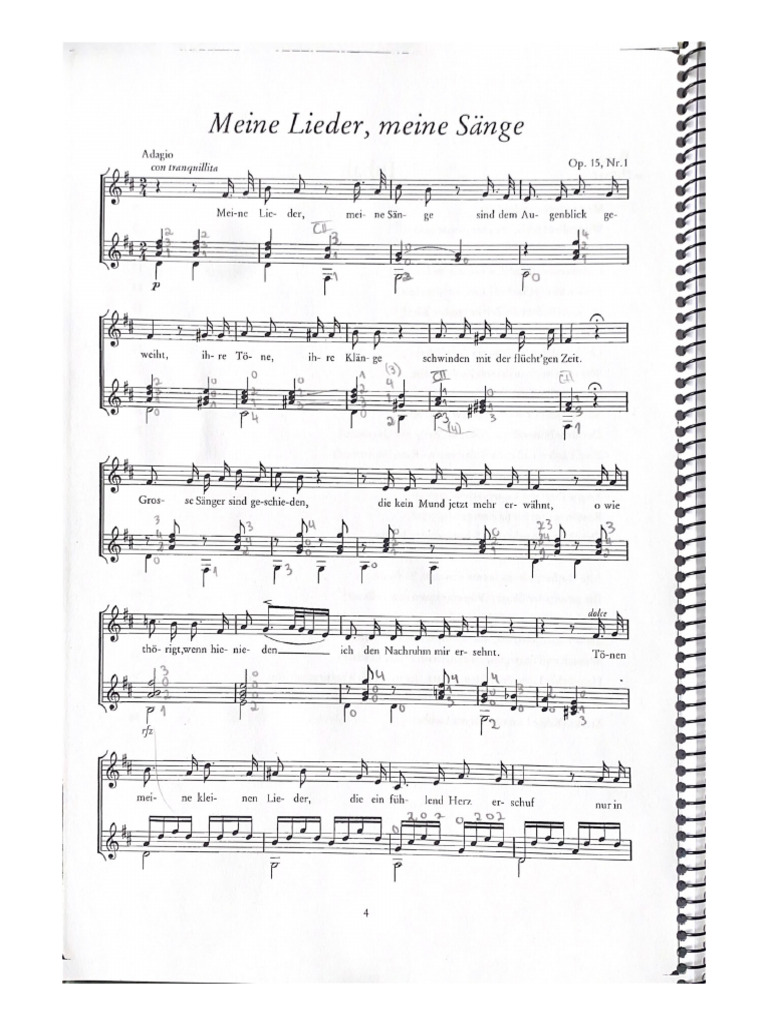 Meine Lieder, Meine Sänge | PDF