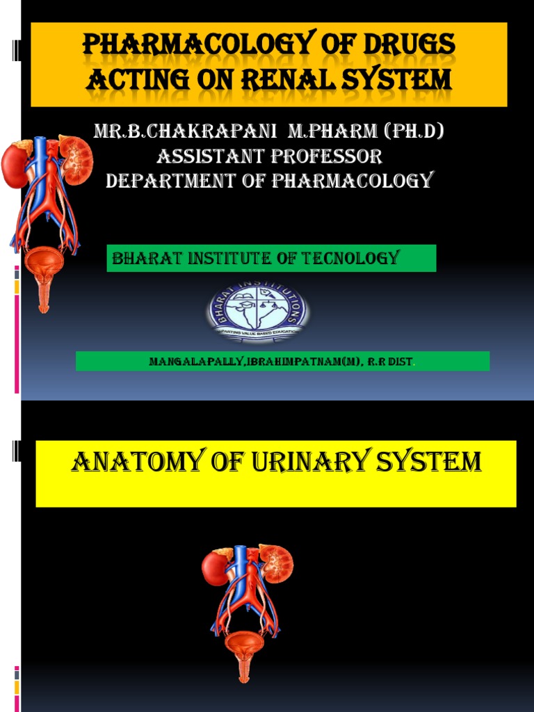 Pharmacology of Drugs Acting On Renal System | PDF | Kidney | Urinary ...