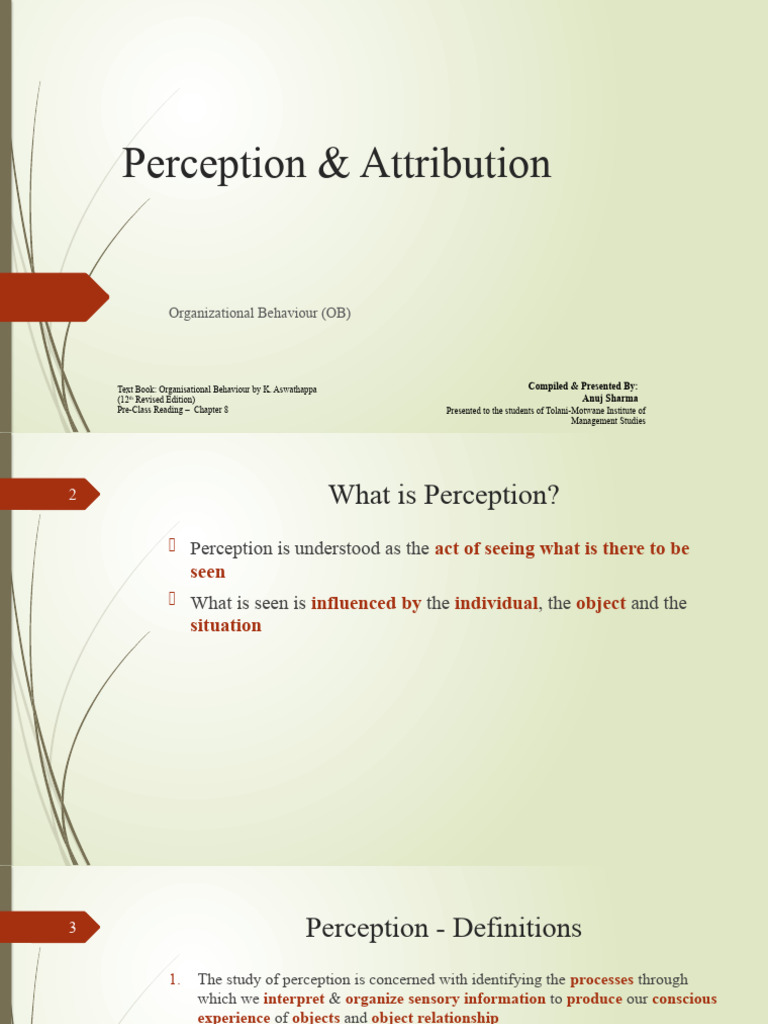 Understanding Perception in OB | PDF | Perception | Senses