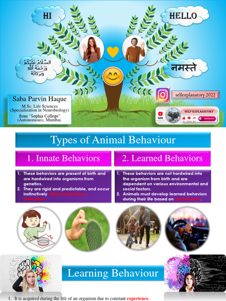 Habituation, Sensitization, Associative Learning, Imprinting & Insight ...