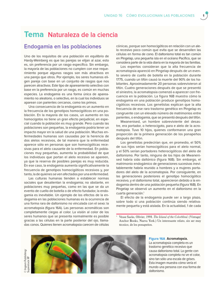 Biología | PDF | Endogamia | Cigosidad