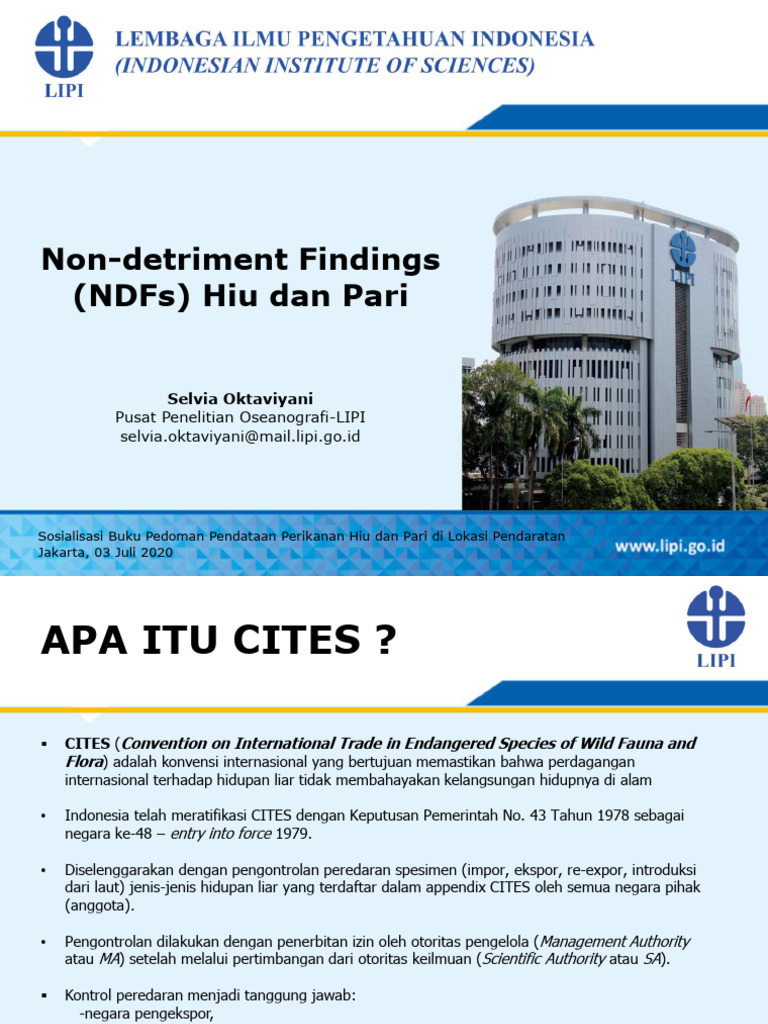 NDF Hiu Dan Pari - 3 Juli 2020 | PDF