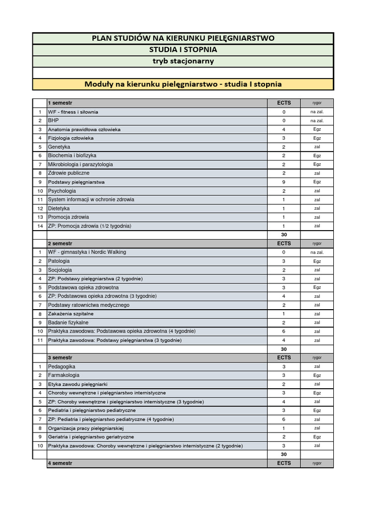 Program Studiow Pielegniarstwo | PDF