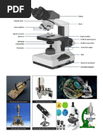 Partes Esenciales del Microscopio | PDF | Microscopio | Tornillo