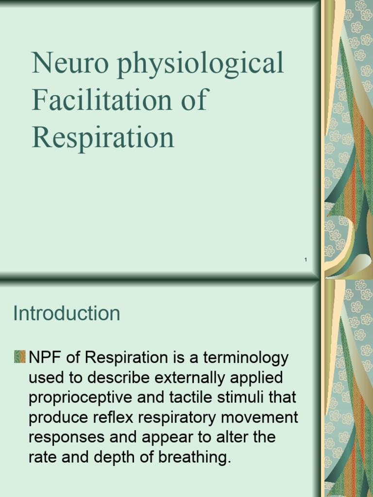 Respiration PNF | Download Free PDF | Breathing | Abdomen