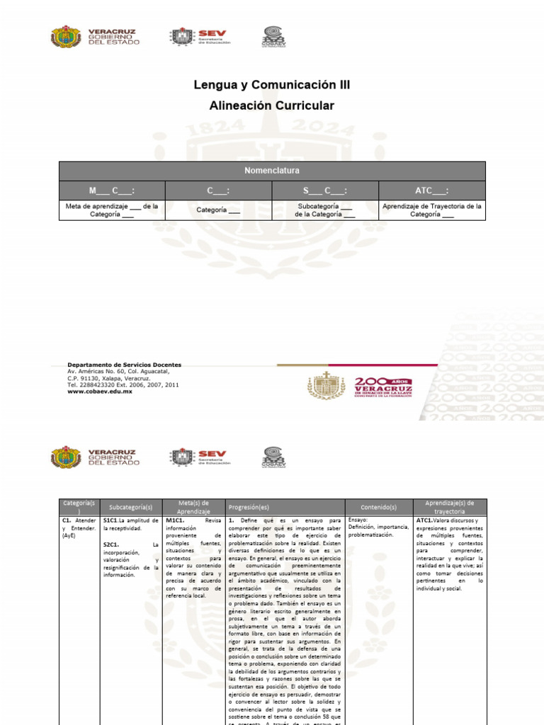 Alineacion Curricular Lyc 3er Semestre | PDF | Ensayos | Narración