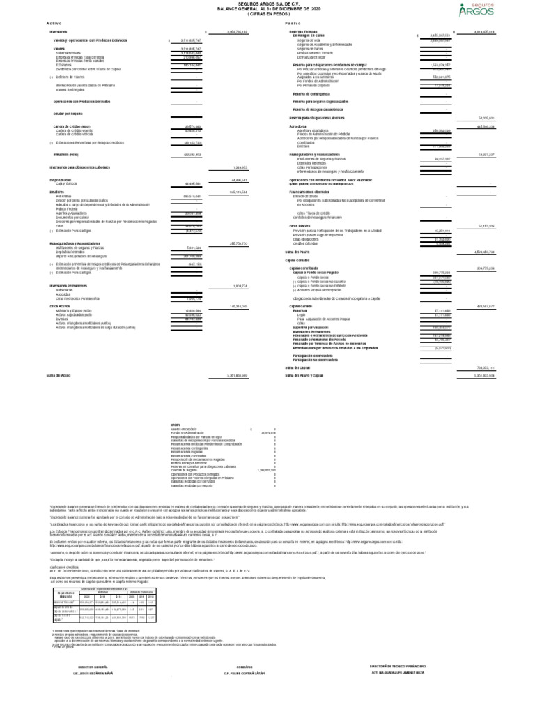 Balance General 2020 | PDF | Seguro | Activo intangible
