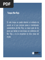 Pez rosado con manos: características y hábitat | PDF | Pescado | Zoología