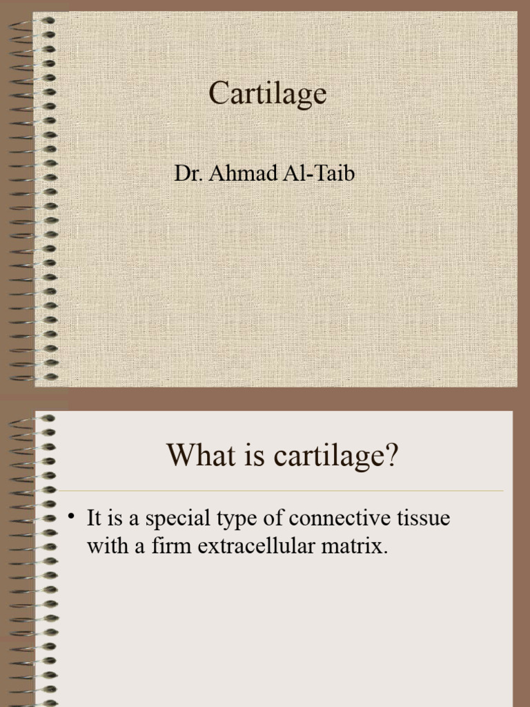 4 Cartilage | PDF | Cartilage | Extracellular Matrix