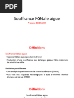 ERCF | PDF | Grossesse | Accouchement