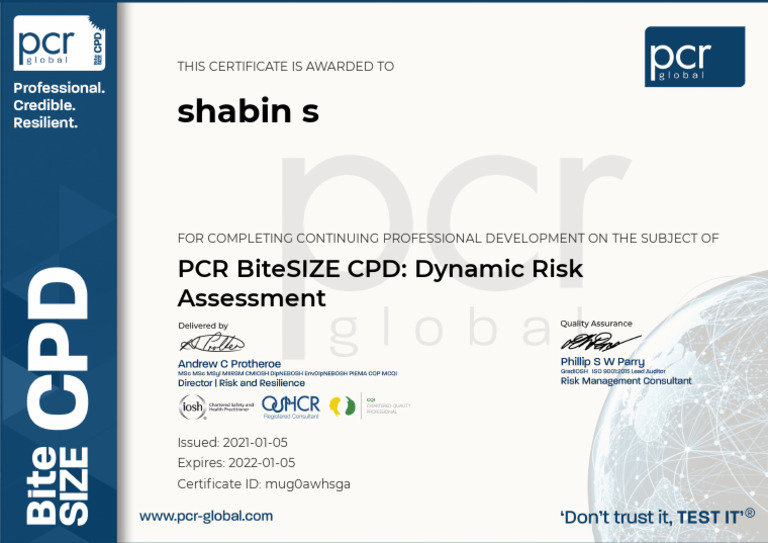 Dynamic Risk Assessment | PDF