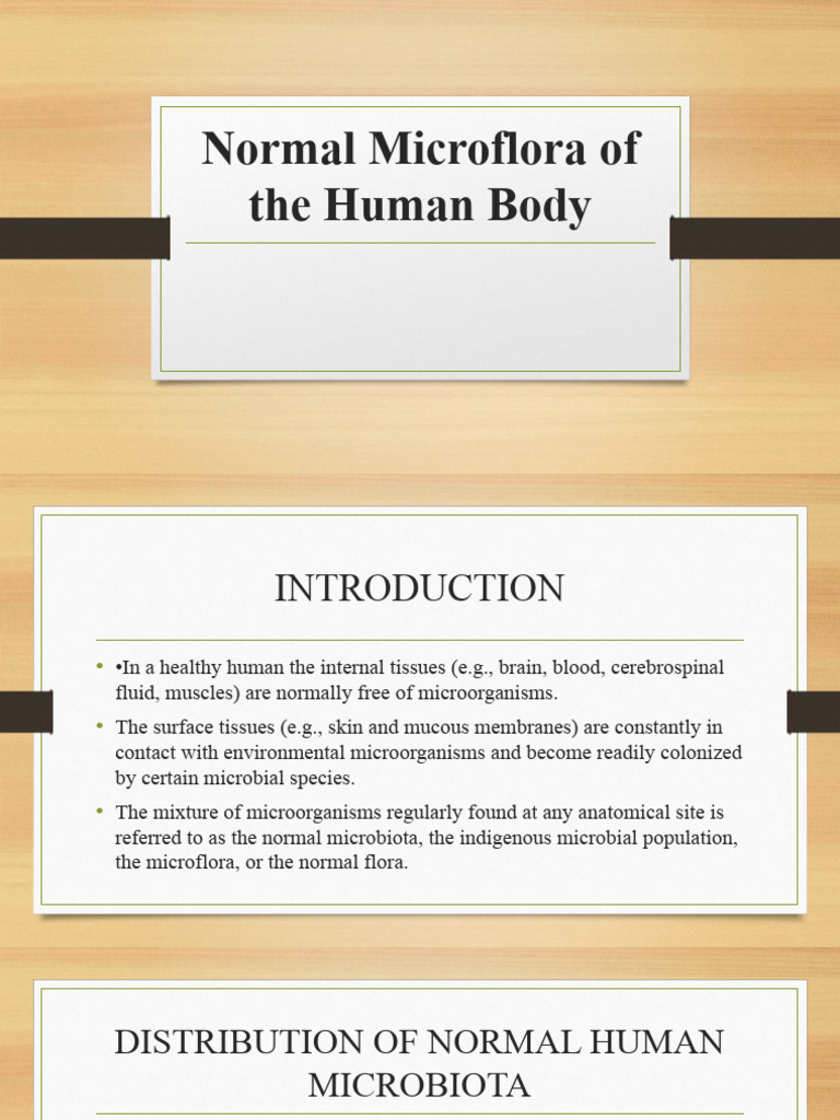 Normal Microflora in the Human Body | PDF | Bacteria | Lactobacillus
