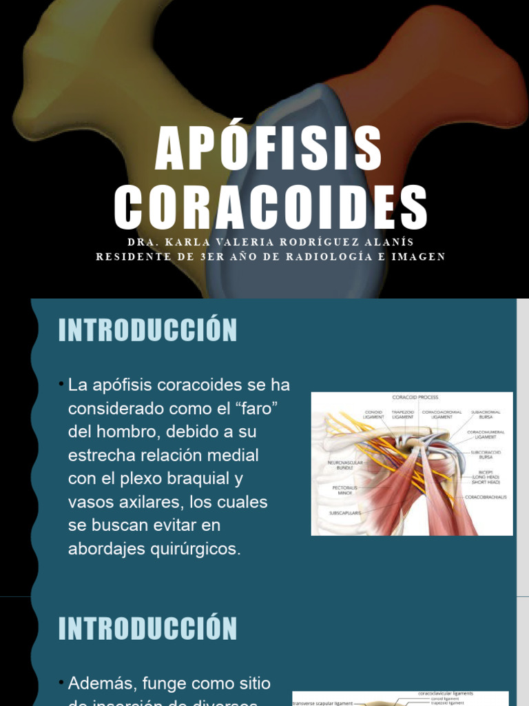 Anatomía y Patologías de la Coracoides | PDF | Hombro | Extremidades ...
