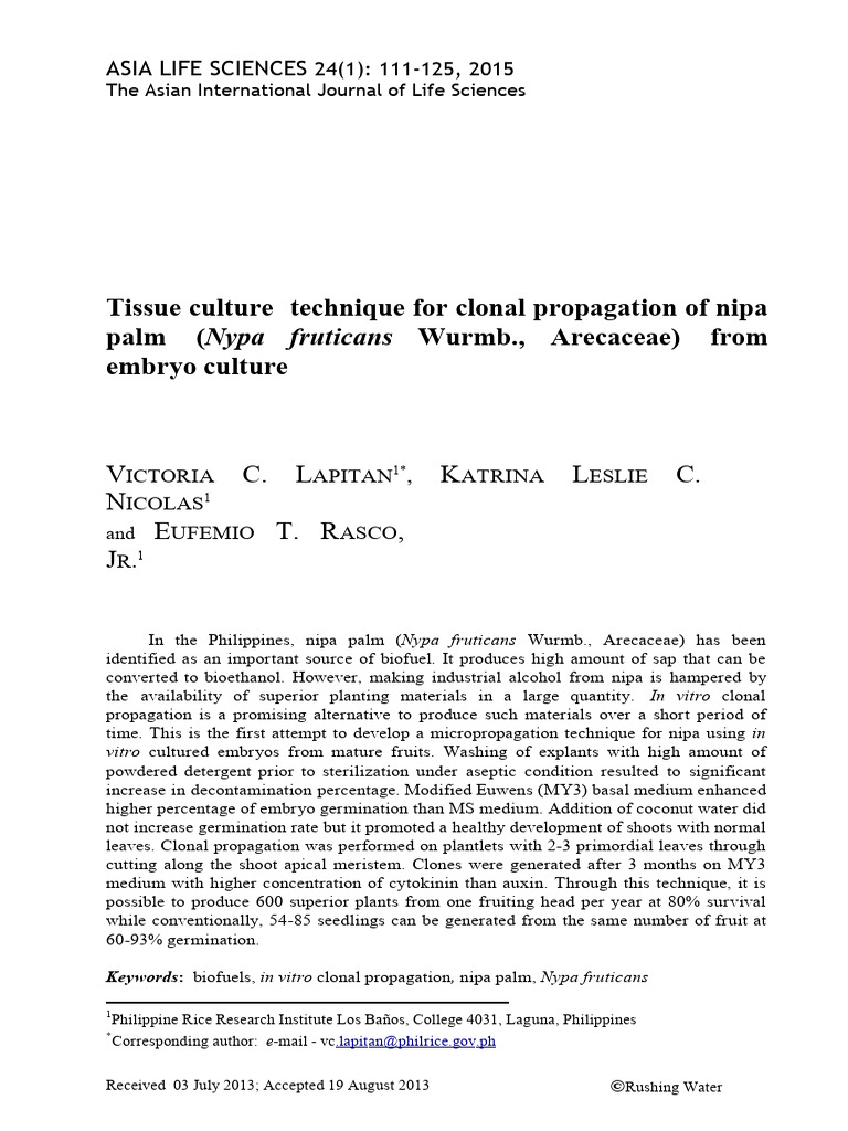 Nipa Palm Clonal Propagation Techniques | PDF | Seed | Plant Breeding
