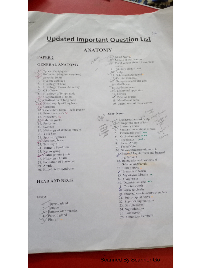 Anatomy Imp PDF | PDF
