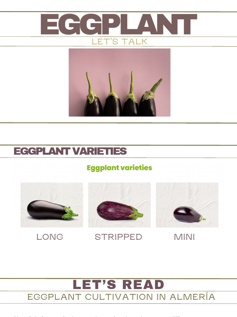 Eggplant | Download Free PDF | Eggplant | Agriculture