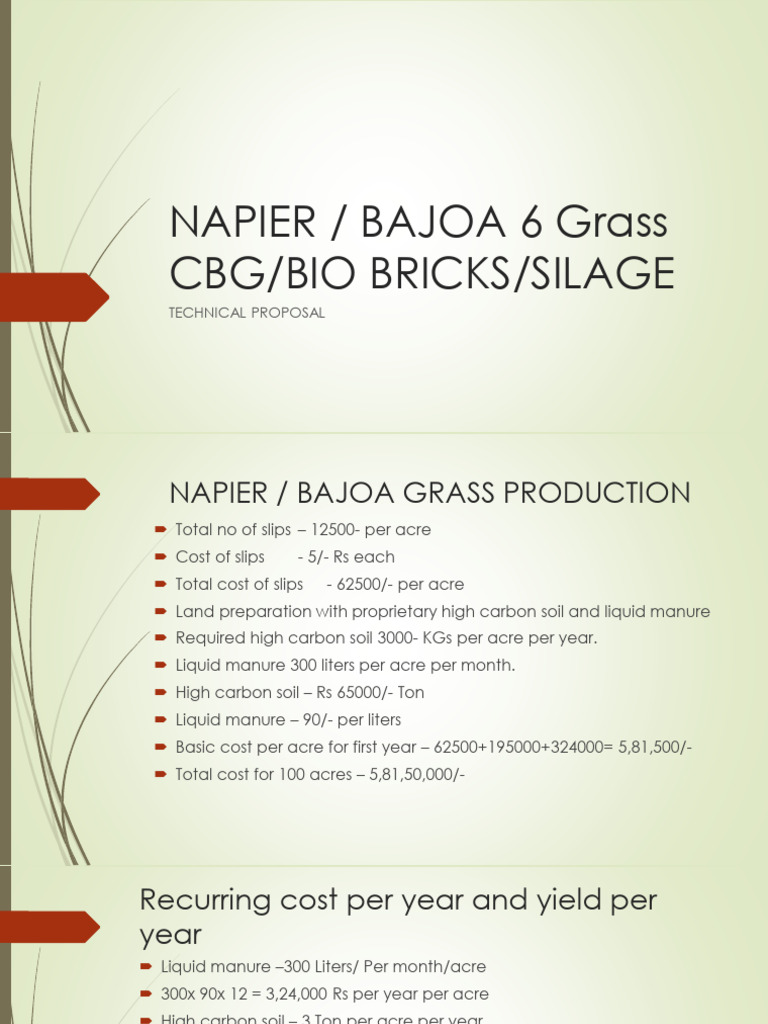 Napier Plantation Project Cost 2024 | PDF | Manure | Agriculture