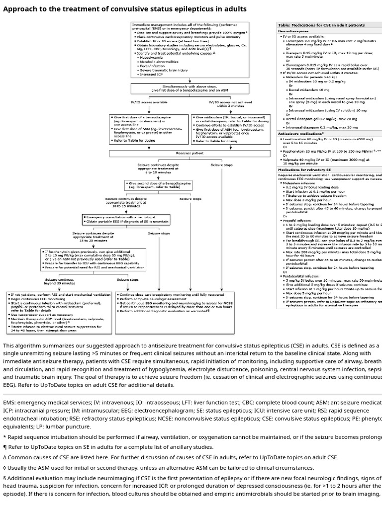 UpToDate Treatment of CSE in Adults | PDF | Clinical Medicine | Medical ...