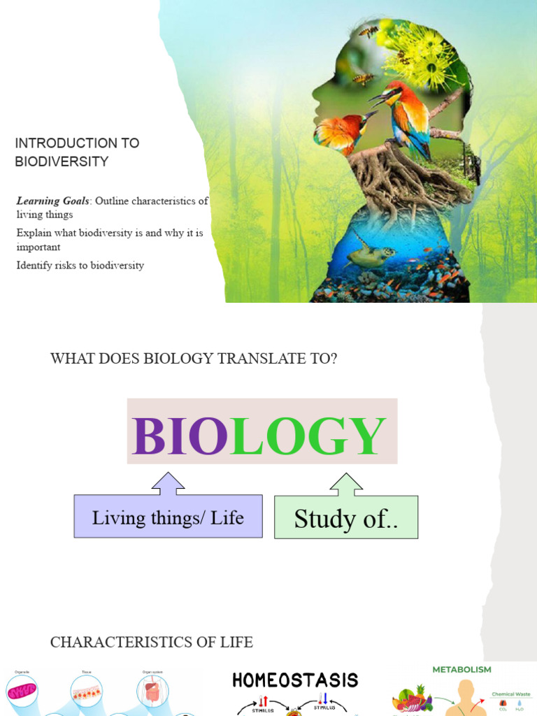 Understanding Biodiversity and Its Importance | PDF | Ecosystem ...