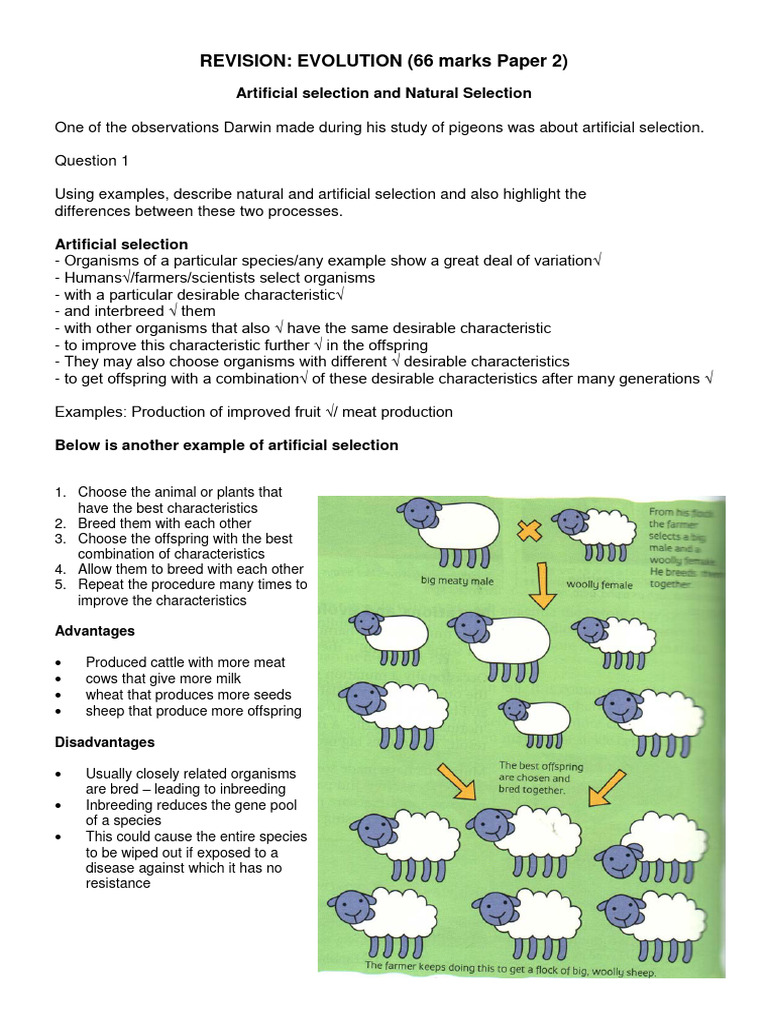 Revision Evolution | PDF | Evolution | Selective Breeding
