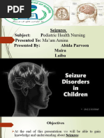 Seizures - Adult ECAT Protocol - Emergency Care Assessment and Treatment | PDF