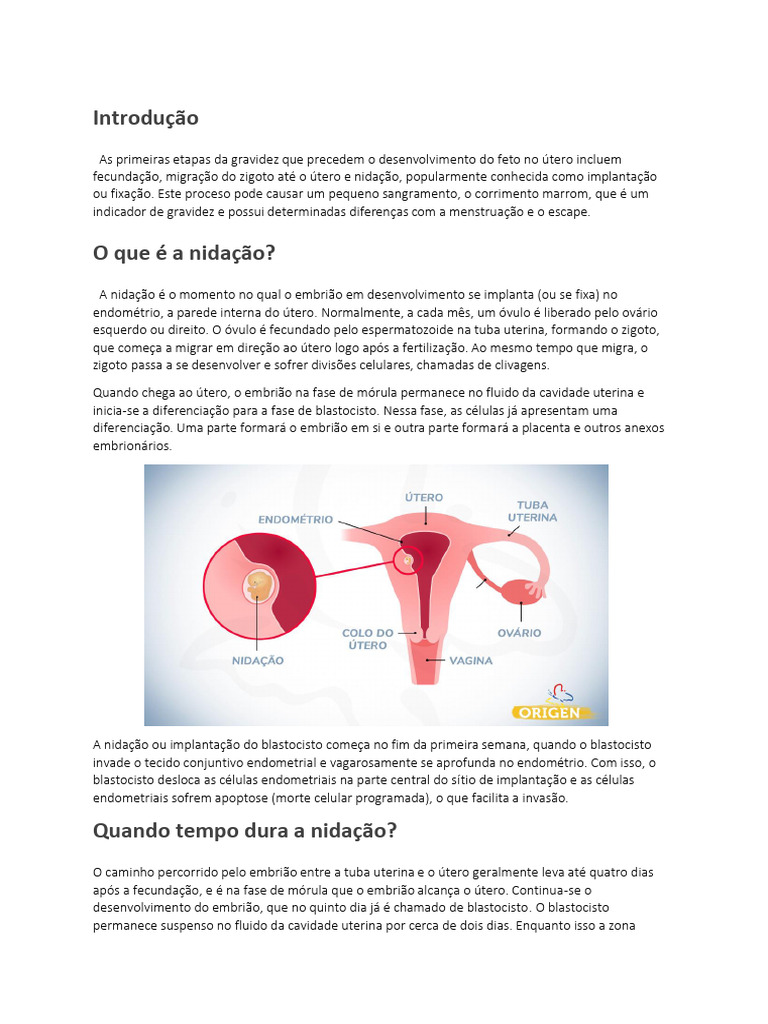 Chamamos de Nidação o Processo de Implantação Do Óvulo Fecun | PDF ...