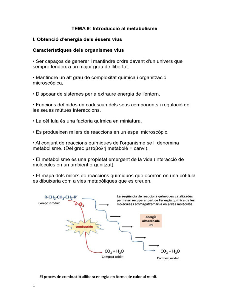 Unitat 2 Bioquimica Meta1 | PDF