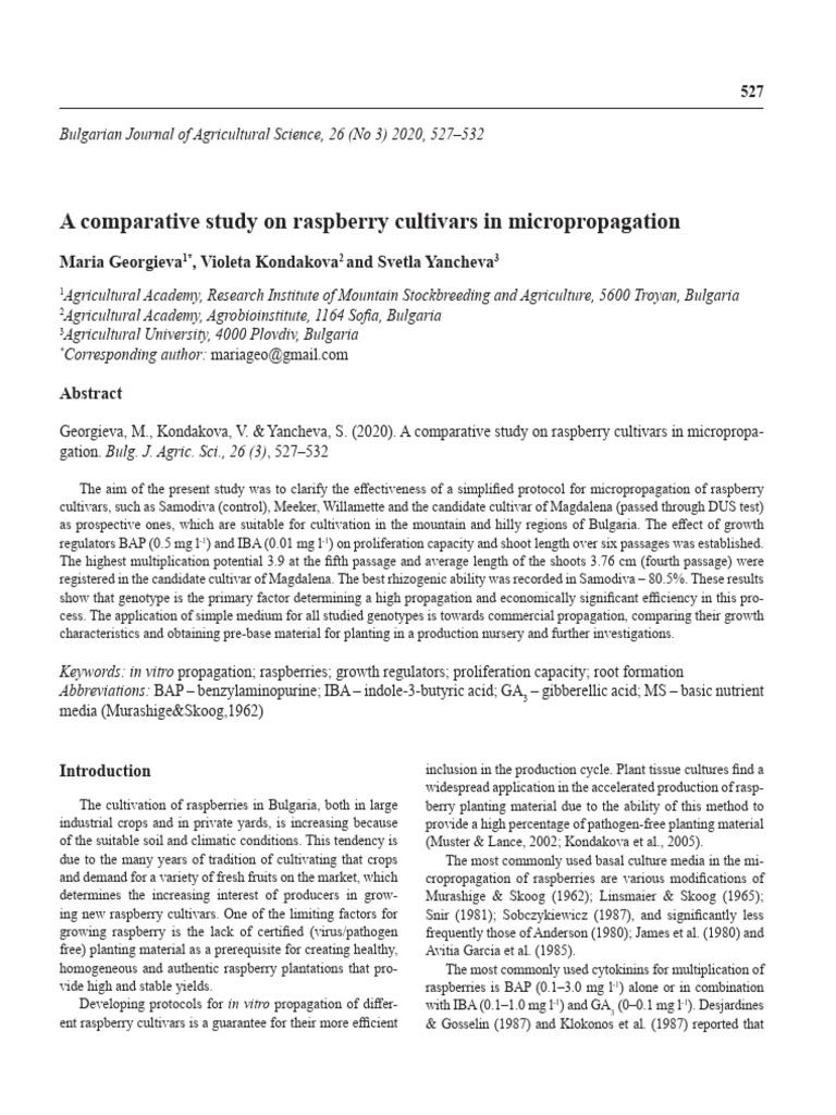 Raspberry Cultivar Micropropagation Study | PDF | Raspberry | Root