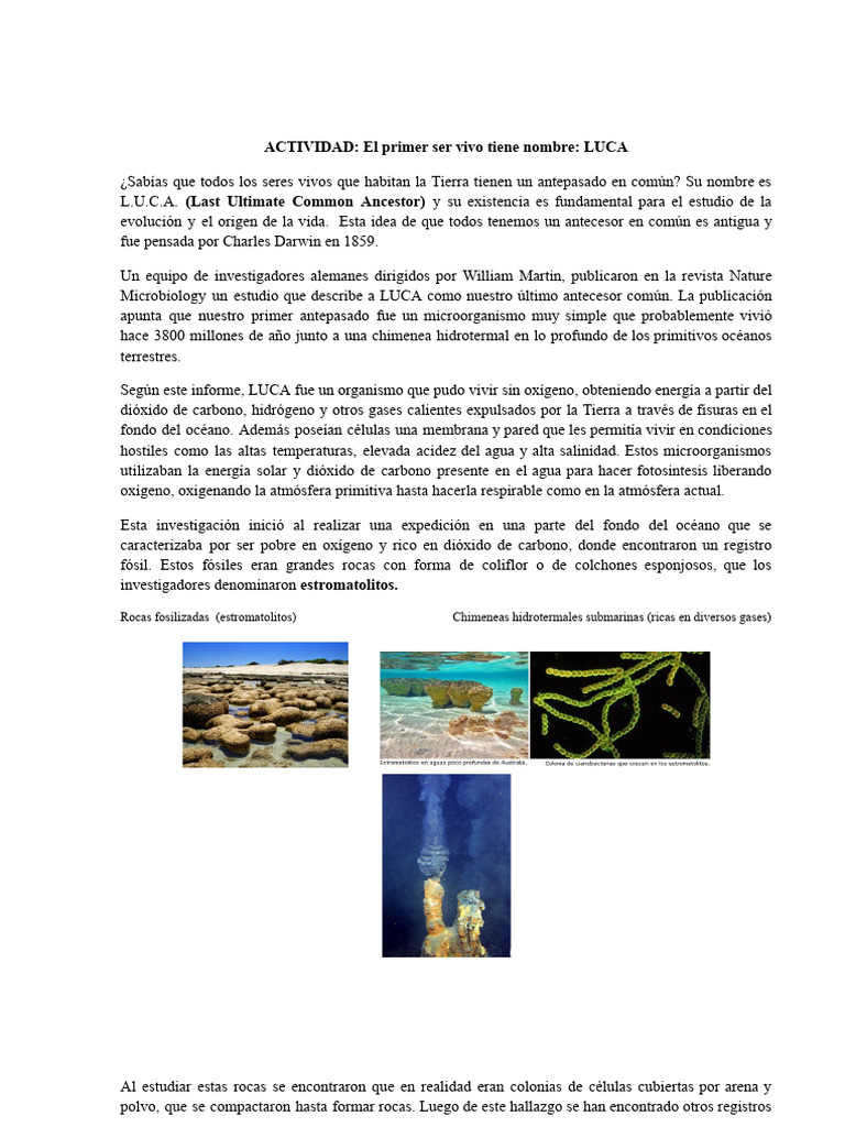 LUCA: El Primer Ser Vivo en la Tierra | PDF | Tierra | Naturaleza