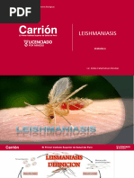 Prueba de Montenegro en Leishmaniasis | PDF | Sistema inmune ...
