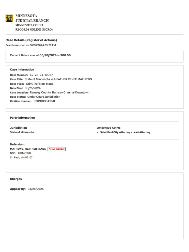 Case Search - Minnesota Court Records Online (MCR | PDF | Misdemeanor | Fine (Penalty)
