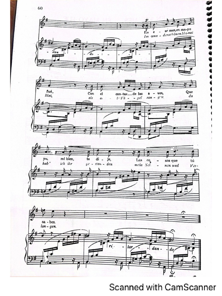 Im Wunderschonen Monat Mai. Schumann | PDF