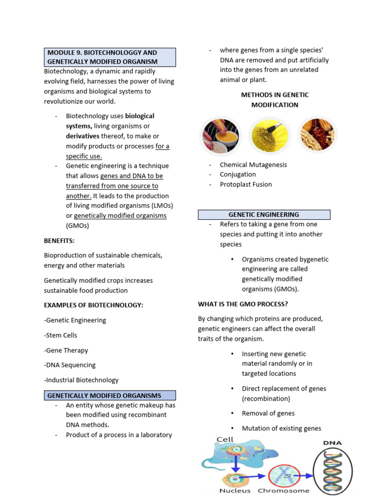 Finals Sts | PDF | Gene Therapy | Genetically Modified Organism