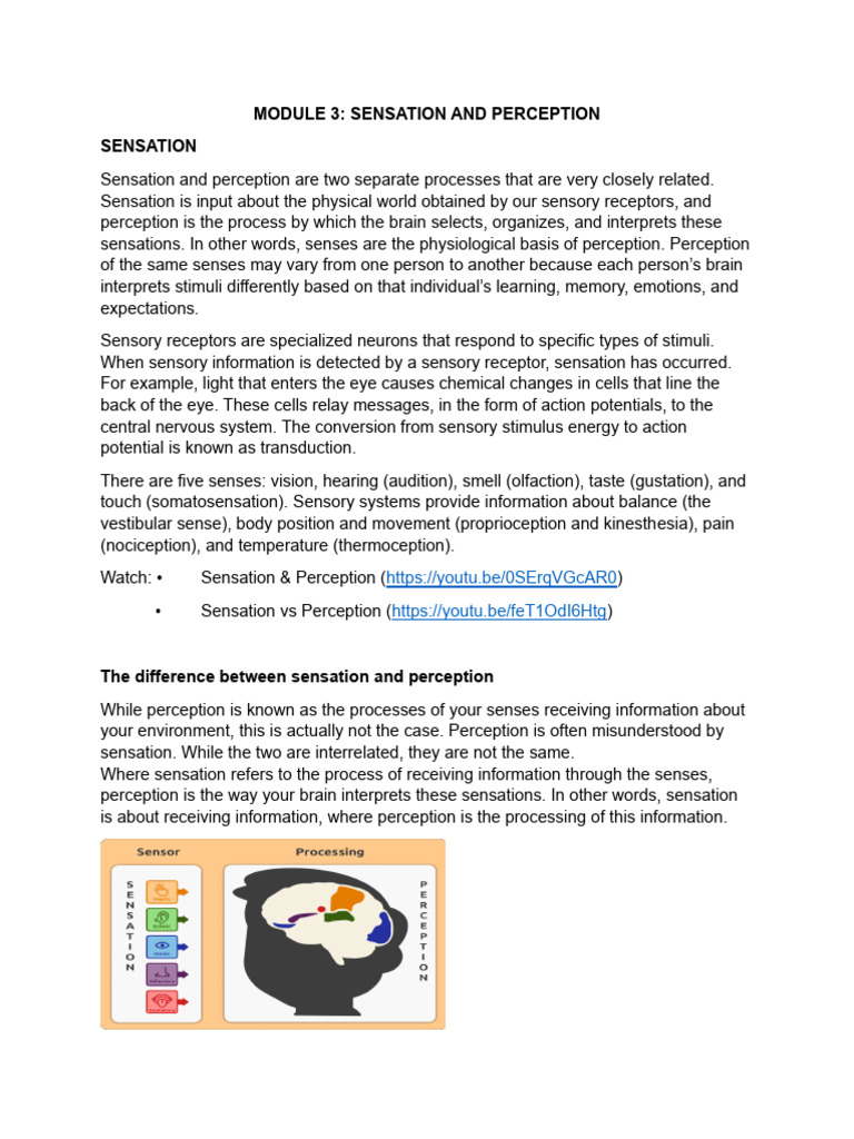 Psych 1 Module 3 Sensation and Perception | PDF | Senses | Perception