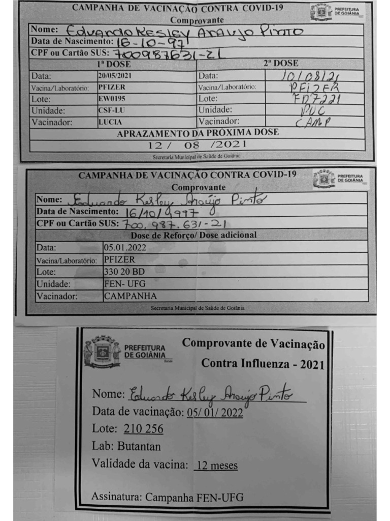 Documentos Estágio | PDF