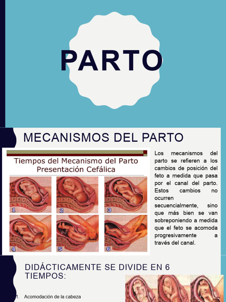 Parto | PDF | Parto | Especialidades Medicas