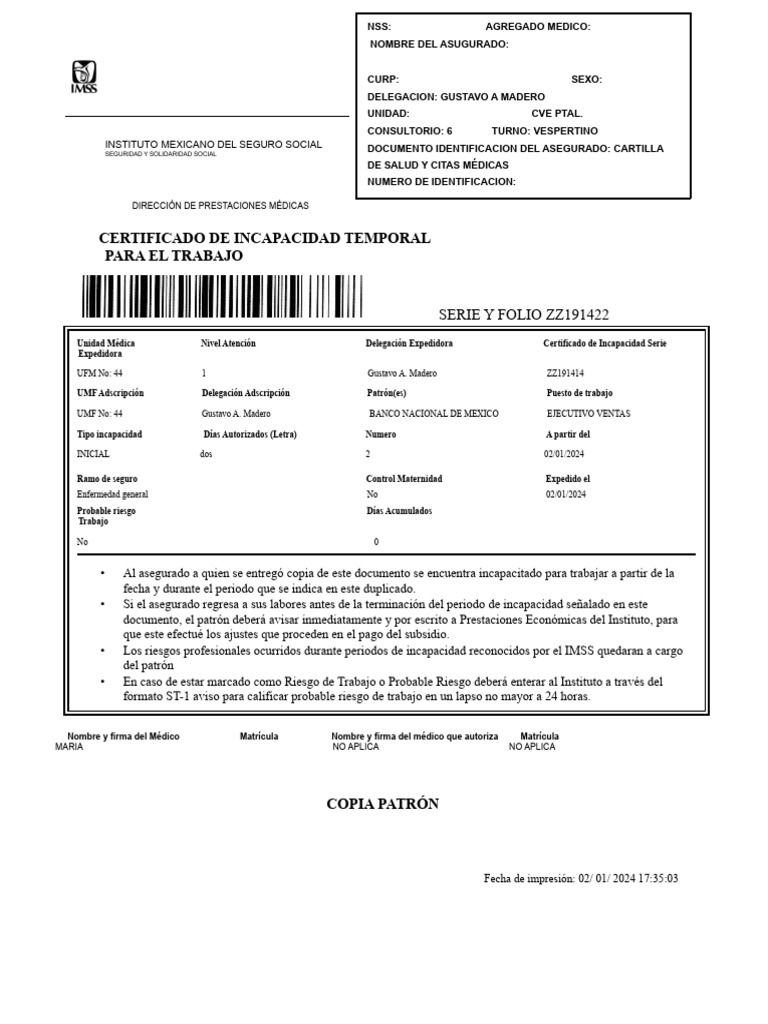 Incapacidad Imss Editable Temporal Word | PDF