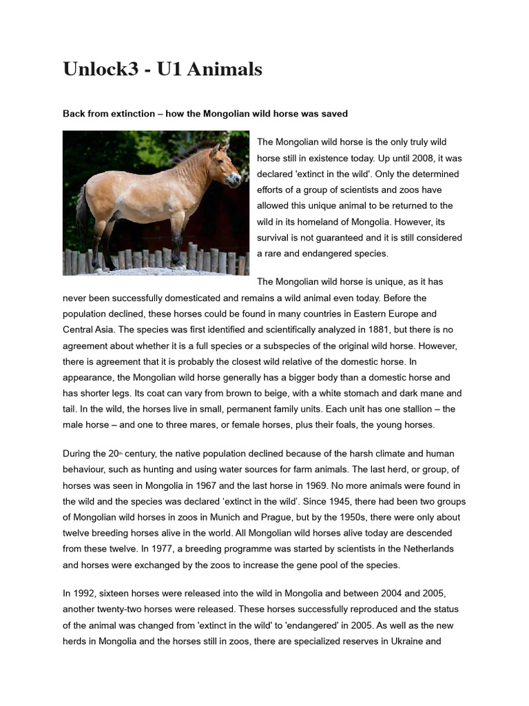 Unlock3 - U1 Animals | PDF | Horses | Endangered Species