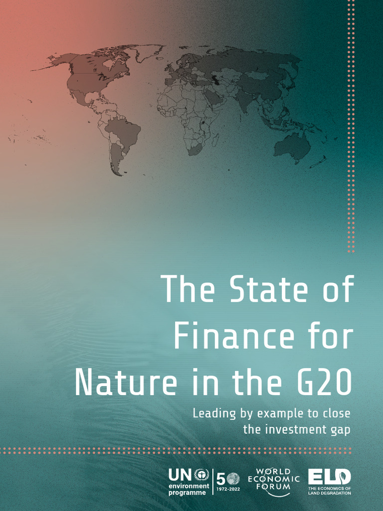 NatureG20 United Nations Climate Change Report | PDF | Sustainability ...
